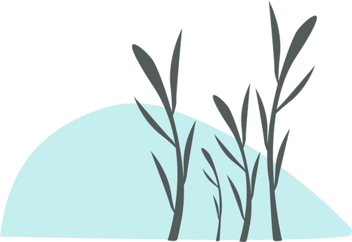 Hakkımızda | Scooter Kiralama Uygulaması | BinBin